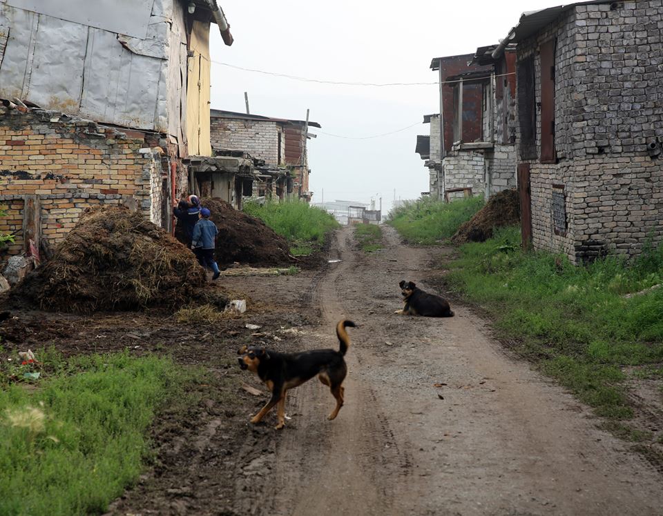 Town meets country: how sheds explain modern Russian life — New East ...