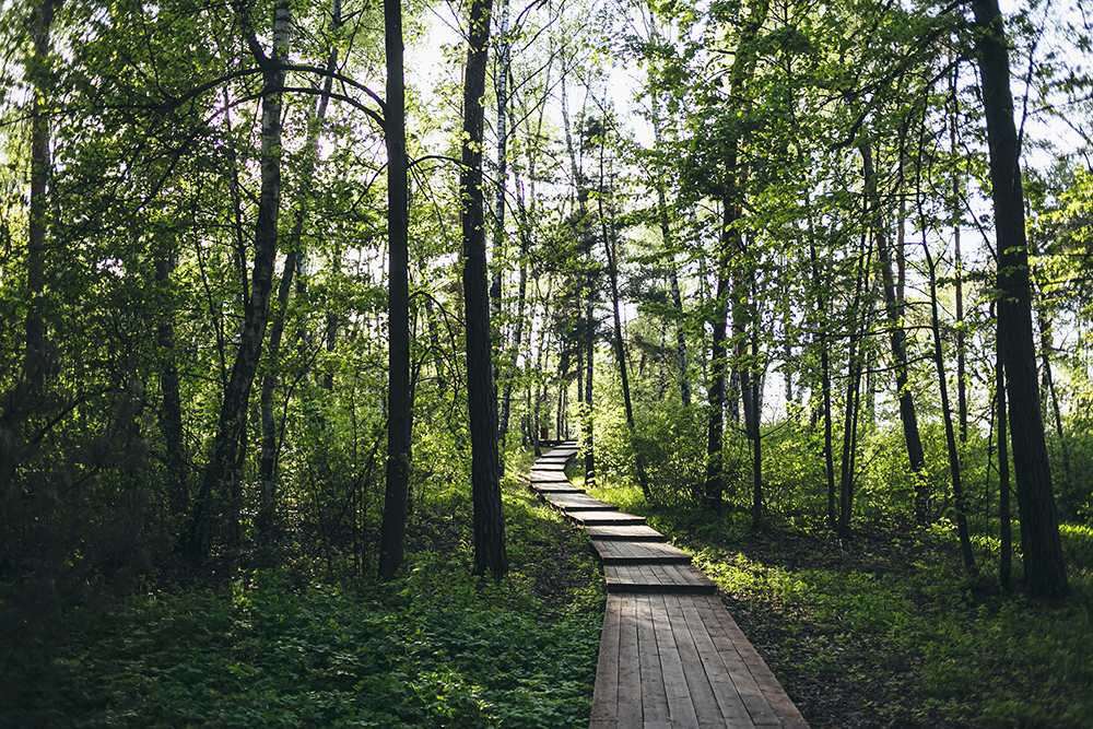 Out on the town: your guide to the hidden gems and hotspots of Russia’s iconic capital city ...