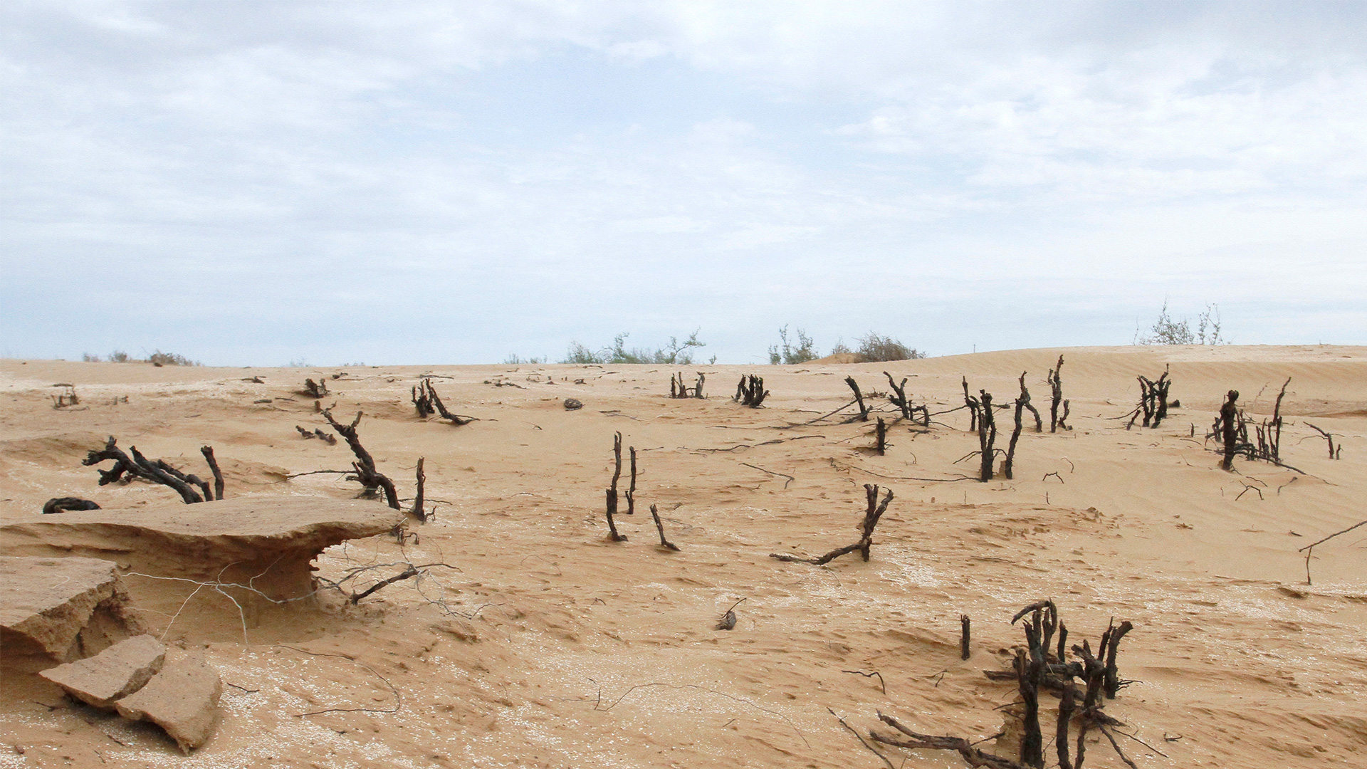 A line in the sand: snapshots of life in Kalmykia, Europe’s only man ...