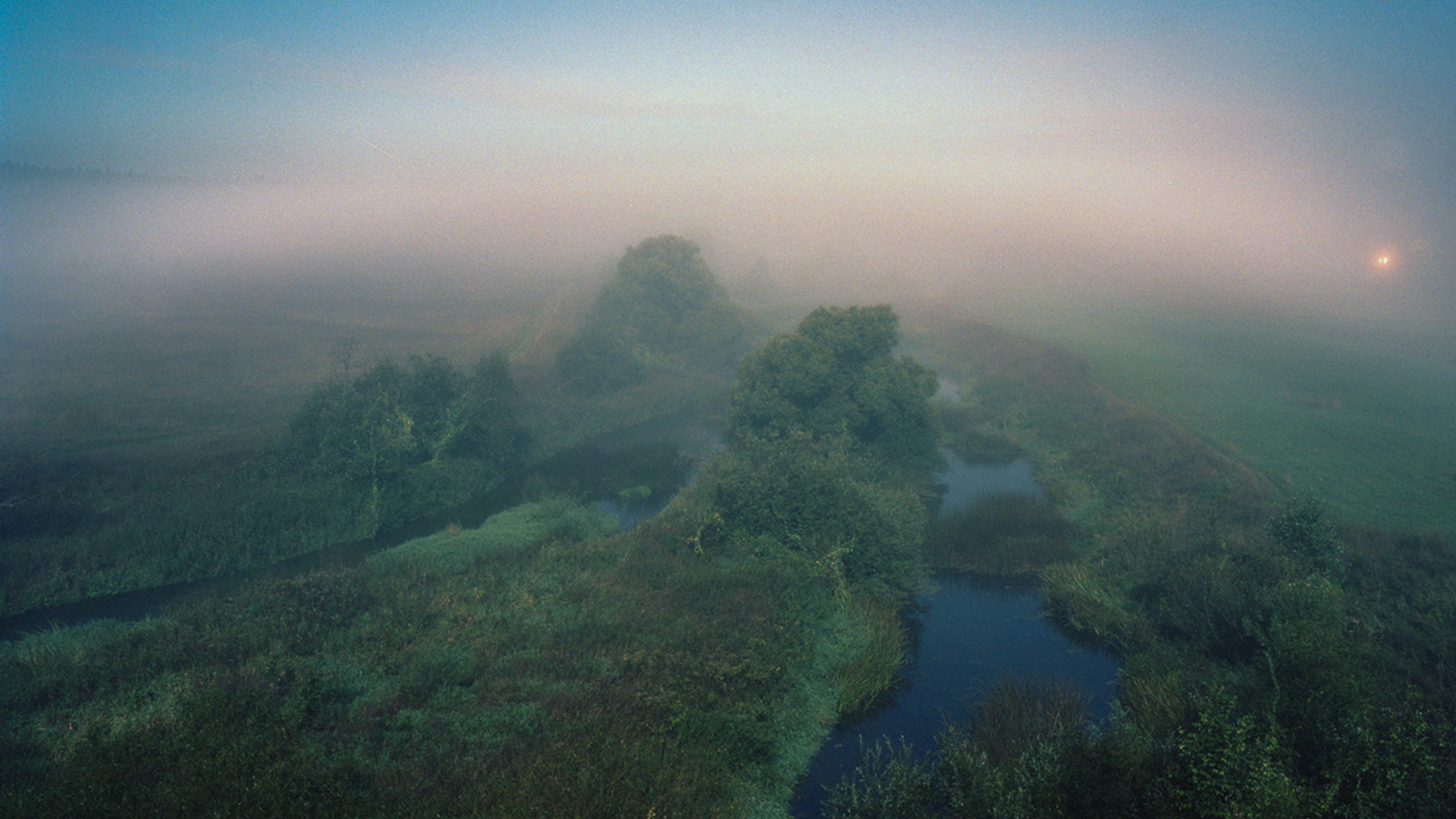 Herbarium: a Moscow exhibition explores tenderness through Russian ...