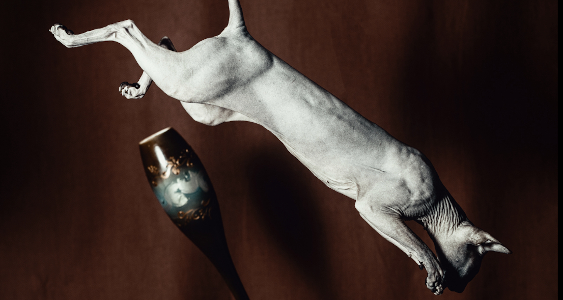The Eastern European projects shortlisted for the Sony World ...