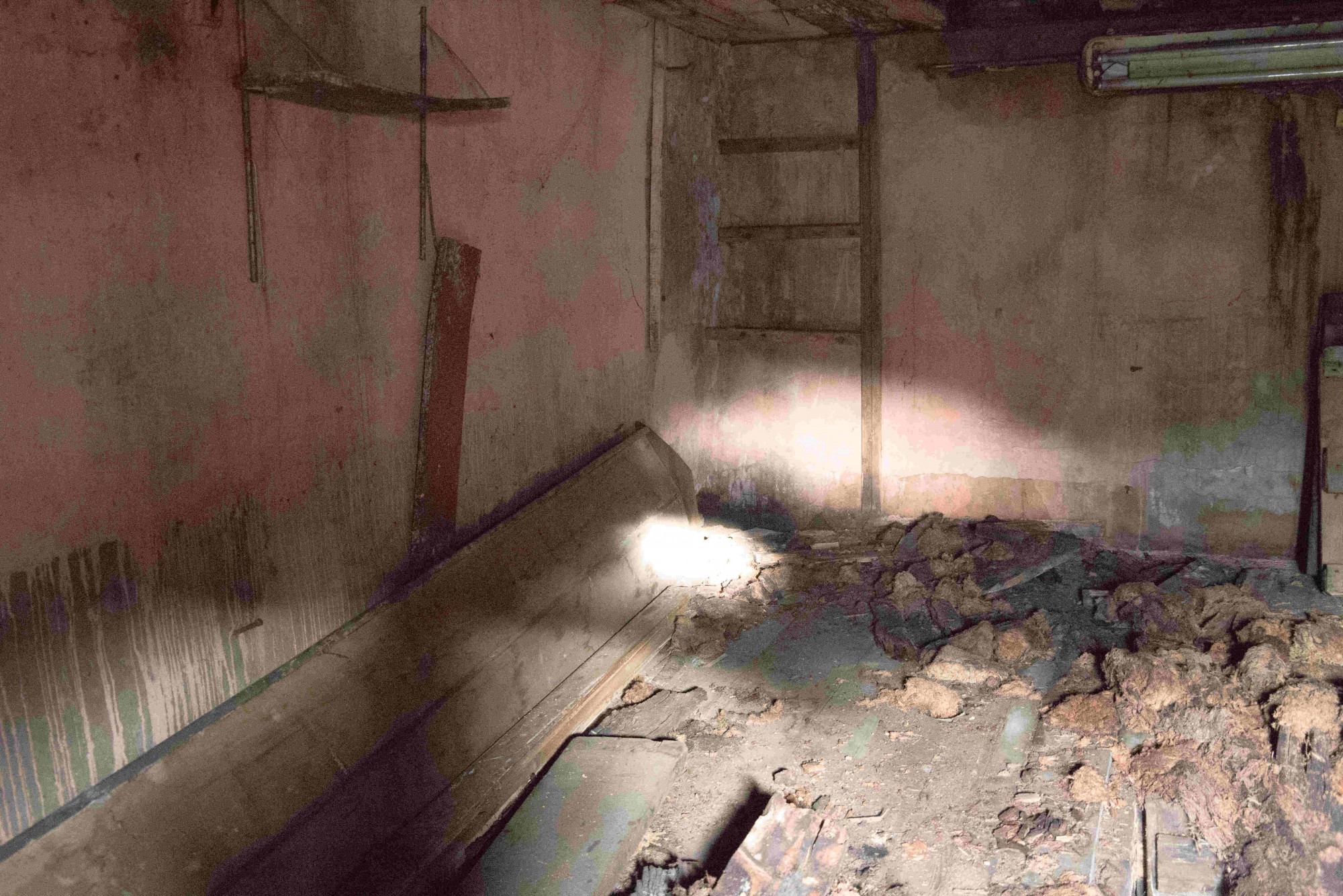 Istomina Marina — New East Digital Archive